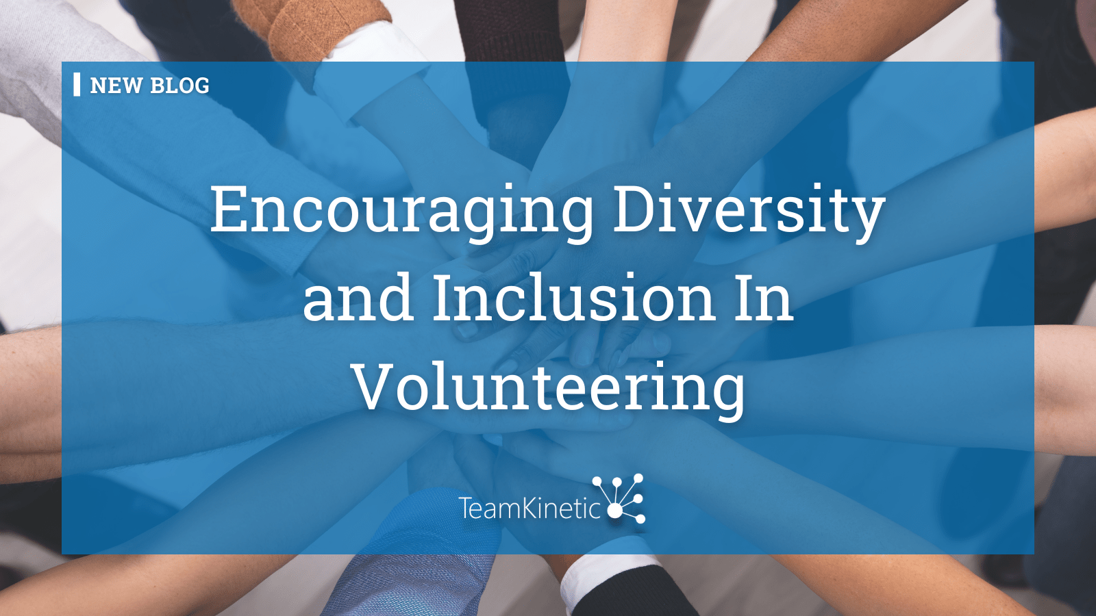 Encouraging Diversity And Inclusion In Volunteering - TeamKinetic