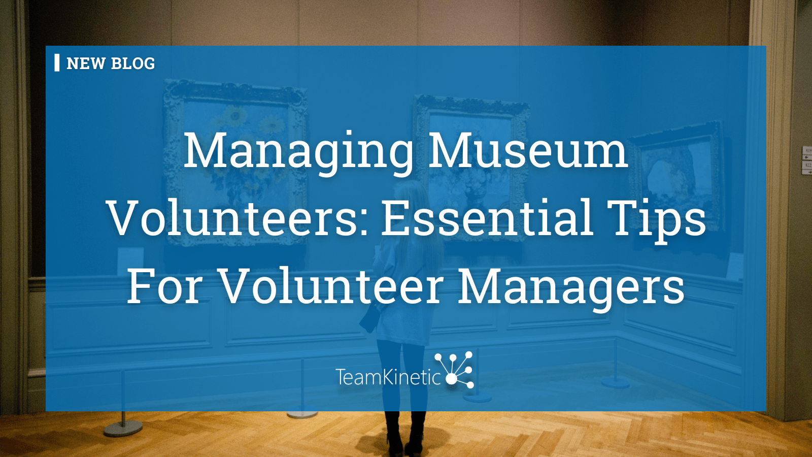 Managing Museum Volunteers: Essential Tips For Volunteer Managers